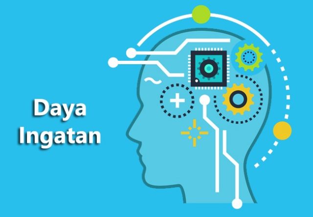 Fungsi Otak dan 10 Cara Meningkatkan Daya Ingatan – ERATUKU