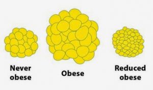 5 Fakta Tentang Peluh - ERATUKU